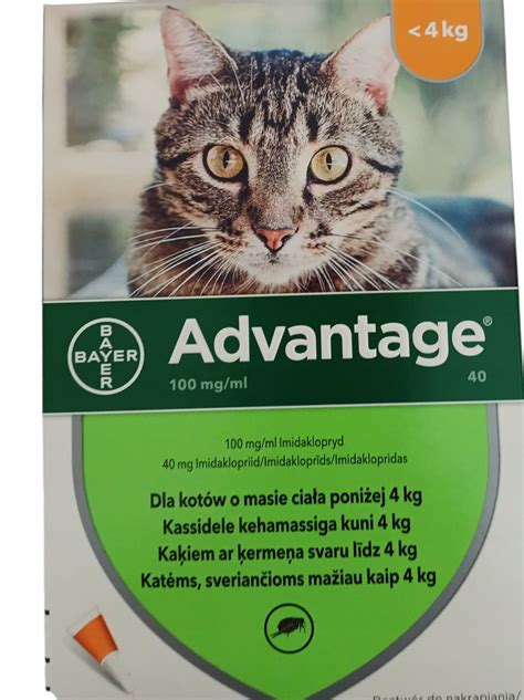 ADVANTAGE DLA KOTÓW do kg p pchłom pipeta Cena Opinie Leki