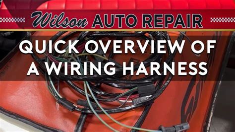 Wiring Harness What You Need To Know Wilson Auto Repair