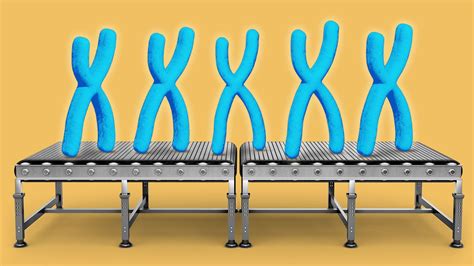 Scientists Build Yeast With Artificial Dna In A Major Synthetic Biology