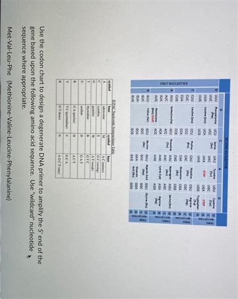 Use The Codon Chart To Design A Degenerate Dna Primer