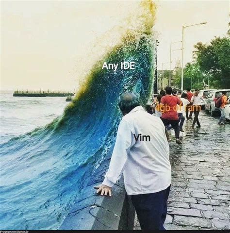 VimAllTheWay ProgrammerHumor Io