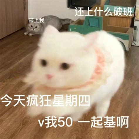 肯德基疯狂星期四吊图分享 疯狂星期四表情包有哪些 坦牛手游网
