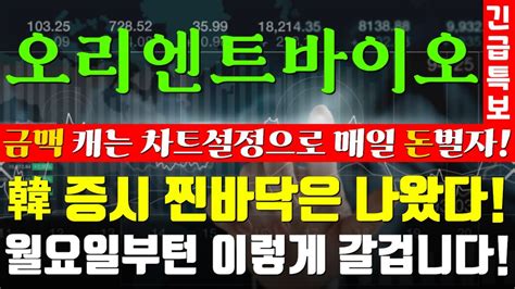 오리엔트바이오 전망 오리엔트바이오목표가는 물론 차트설정만으로 대시세 잡아낼수 있는 금맥 차트설정 공개하겠습니다