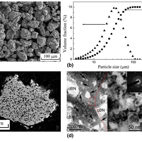 Morphologies A Size Distribution B Cross Sectional Microstructure