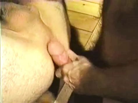 Von Meinem Porno Video Pig Sty Brown Xhamster