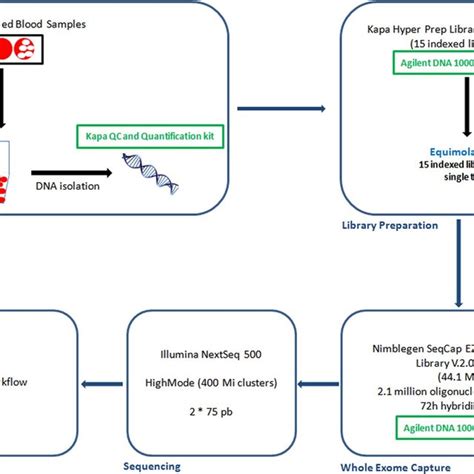 Overview Of Analytical Workflow Download Scientific Diagram