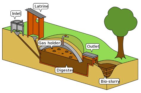 Biomass Energy Biofule Biogas কি এদের উপাদান ও ব্যবহার