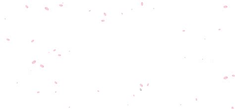 special effects 樱花飘落背景特效 xkyy899 csdn博客