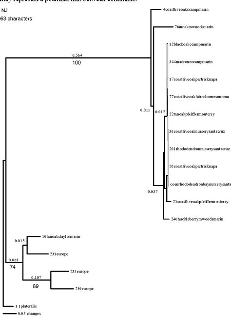 Bailliepsw Primality Test Semantic Scholar Bailliepsw Primality Test Semantic Scholar