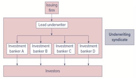 Final Exam Flashcards Quizlet