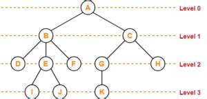 Degree Of Node In Tree Gate Vidyalay