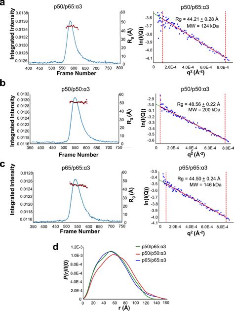 Secsaxs Analysis Of Pre Formed Nf κbΔibb Importin α3 Complexes A