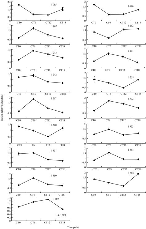 Temporal Expression Profiles Of The Maize Seedling Leaf Proteins