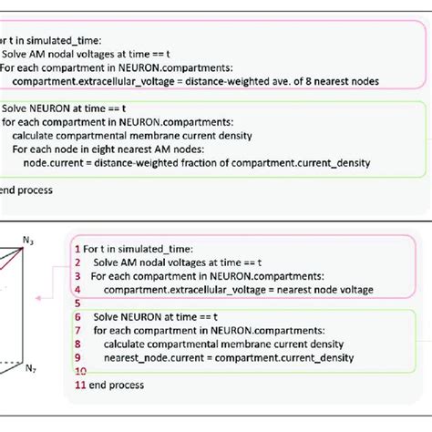 Synthesis Of Feedforward Am Neuron Methods Demonstrated In Bingham Et Download Scientific