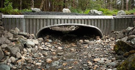 North Douglas Fish Passage Prohns Llc