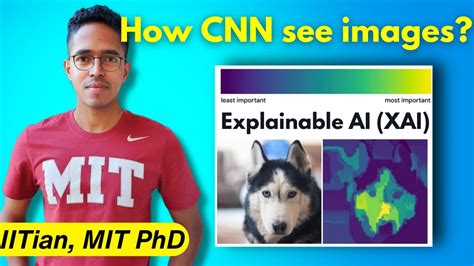 Lecture 7 Explainable Ai On Image Data Using Lime Colab