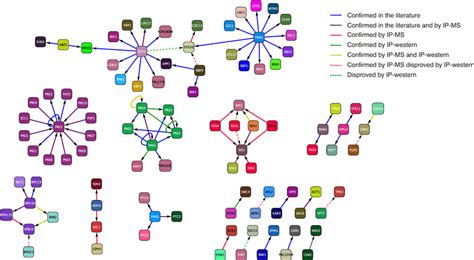 Predicted Interactions Confirmed By Experiments Or By Previously