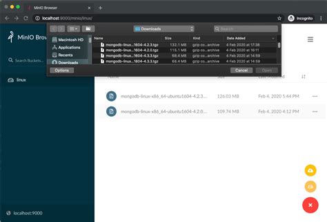 Running S3 Compatible Endpoint To Host Ops Manager Binaries In