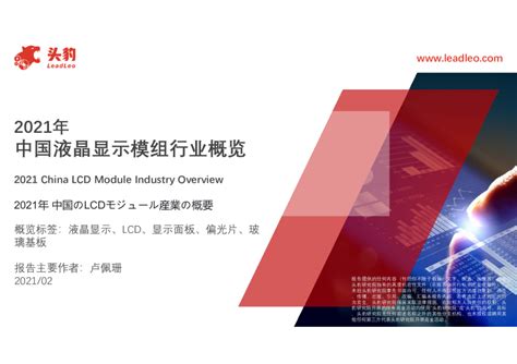 2021年中国液晶显示模组行业概览