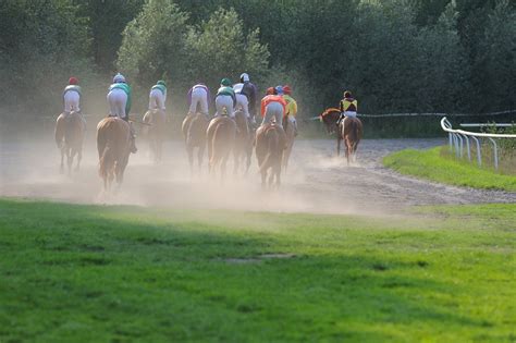 54中央競馬予想！ワイド1点勝負は新潟3rや9rと京都10rにて エスティーの競馬・ゲームお楽しみ広場