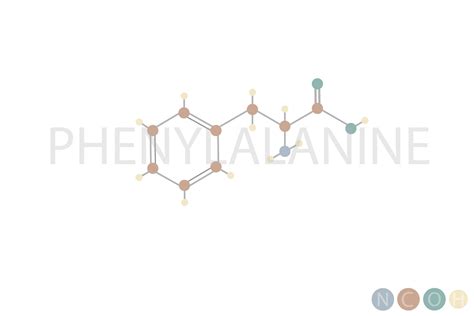 Phenylalanine Molecular Skeletal Chemical Formula 43575293 Vector Art