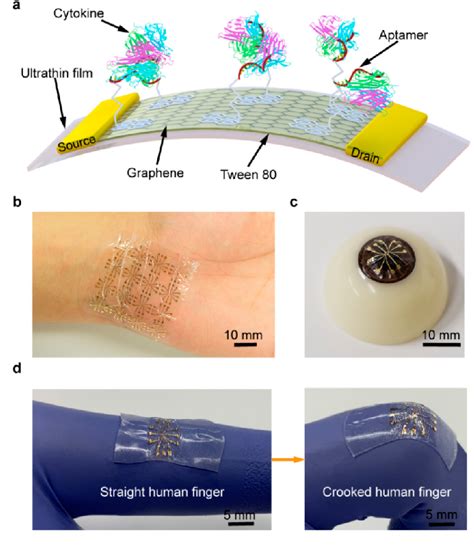 Figure 1 From A Wearable And Deformable Graphene Based Affinity