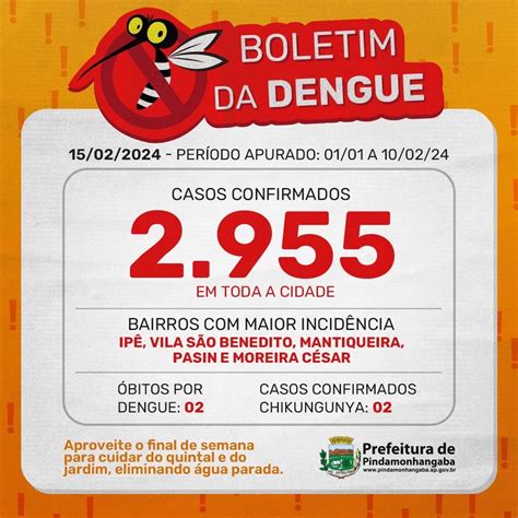 Pindamonhangaba Chega A 2 955 Casos De Dengue Em 2024