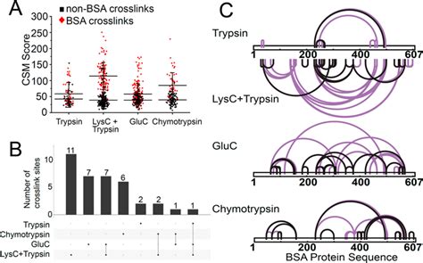 Optimized Cross Linking Mass Spectrometry For In Situ Interaction Proteomics Pmc