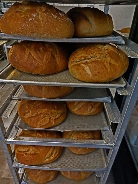 Polonia Bakery Updated July 2025 15 Photos And 15 Reviews 204