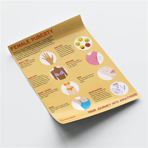 Female Puberty Poster Pshe School Education Chart Anatomystuff