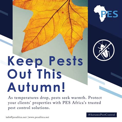 Pathogen And Environmental Solutions Cape Town