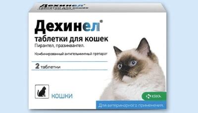 Дехинел для кошек: инструкция по применению, отзывы ветеринаров и ...