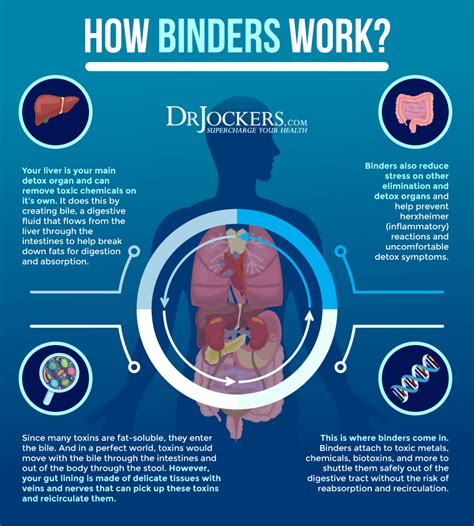 How To Use Toxin Binders To Cleanse The Body