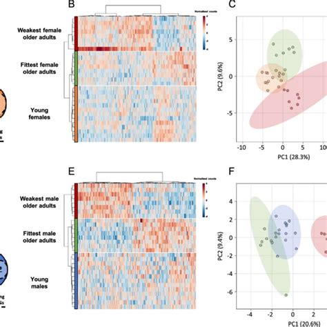 Transcriptional Characterization Of Genes Associated To Physical