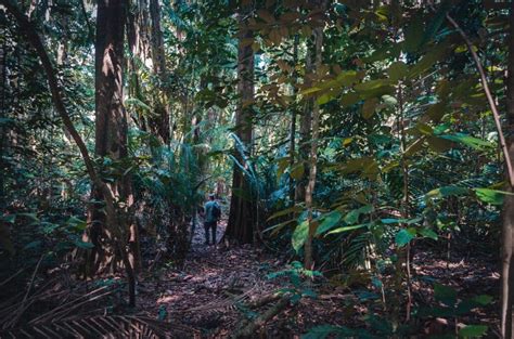 Tanjung Datu National Park A Wonderful Hidden Paradise