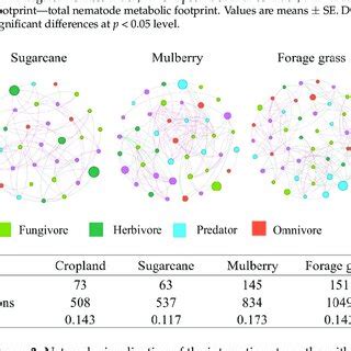 Network Visualization Of The Interaction Strengths Within The Soil Download Scientific Diagram