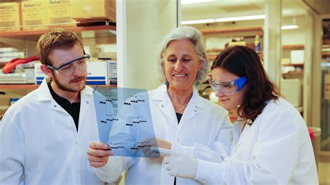 Ma In Chemistry Hunter College