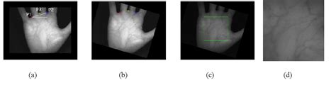 Figure 5 From A New Image Recognition Combining Transfer Learning