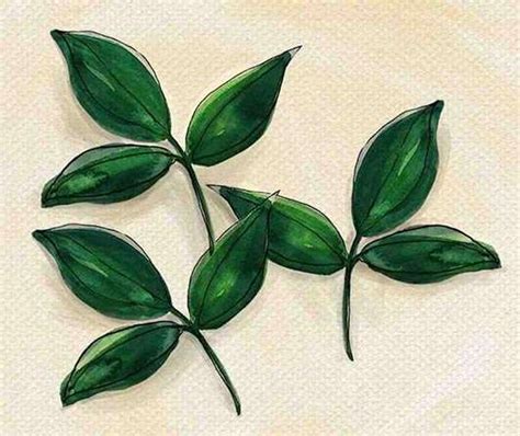 Parakunnath Sree Vettakkorumakan Payyan Kshethram Temple Aroli Kannur Kerala Why Is The