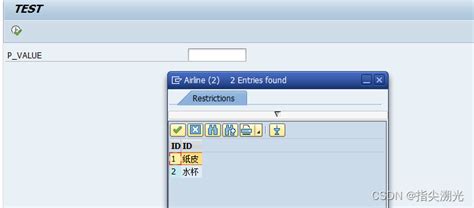 Abap Parameters 功能及用法 Csdn博客