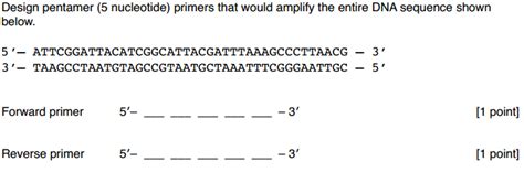 Solved Design Pentamer 5 Nucleotide Primers That Would Chegg