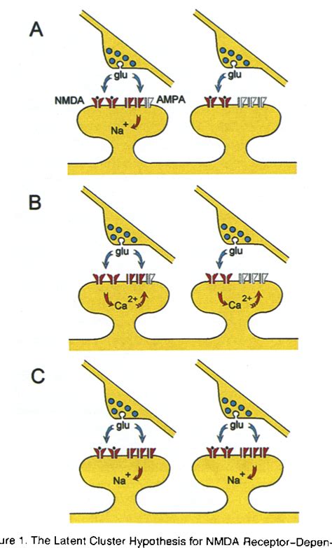 Figure 1 From The Site Of Expression Of Nmda Receptor Dependent Ltp