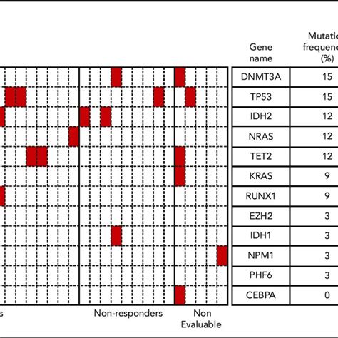 Heatmap Showing Mutational Status Of 12 Frequently Mutated Genes And