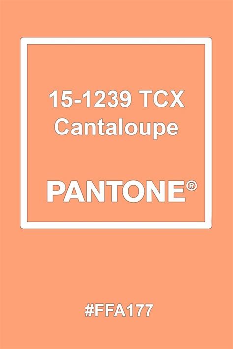 Pantone Cantaloupe Pantone Hex In 2024