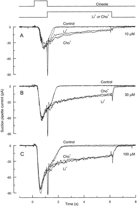 The Odor Induced Response Can Only Terminate In The Presence Of
