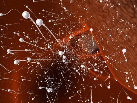 Sperm Abstraction Abstract Bokeh Life Sex Sexual Medical Dna Male Man Men Sperm