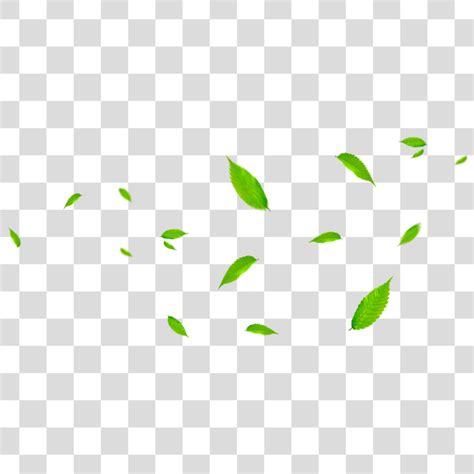 Folhas Verdes Png Baixar Imagens Em Png