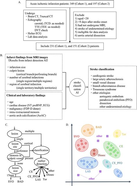 Frontiers Stroke Classification And Treatment Support System