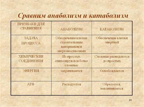 Лекция 22 Обмен веществ и энергии презентация онлайн