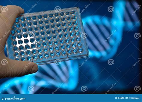 The Dna Testing Stock Image Image Of Biology Discovery 64616115